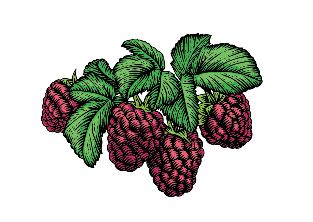 “Old North Sea” Strawberry – Alaska Fruits and Berries